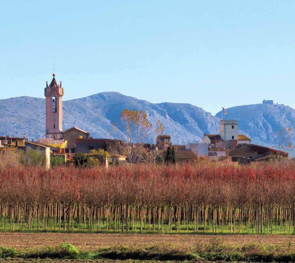 La Processó de Verges